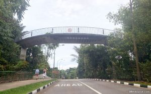 HPL Canopy Link: Connecting Learning Forest To Gallop Extension ...
