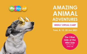 Sign Up For Little Day Out’s Amazing Animal Adventures Children’s Camp ...