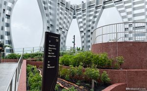 CapitaSpring Sky Garden & Green Oasis: That Top Of The World Feeling ...