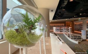Choa Chu Kang Public Library: Reconnect With Nature At The Lot One ...
