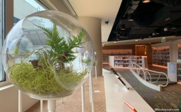 Choa Chu Kang Public Library: Reconnect With Nature At The Lot One ...