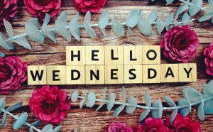 50+ Wednesday Jokes For A Midweek Laugh - Little Day Out