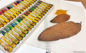 Leaf Rubbing Art: Get Creative With Patterns From Nature - Little Day Out