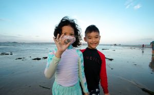 Singapore Airlines Launches Pelago, A Digital Travel Experiences ...