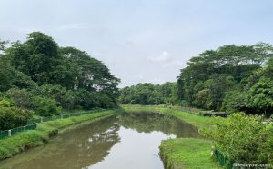 Springleaf Nature Park: 5 Things You May Not Know About This Sungei ...