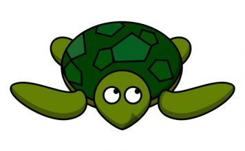 60+ Turtle Jokes To Tickle Your Shell - Little Day Out