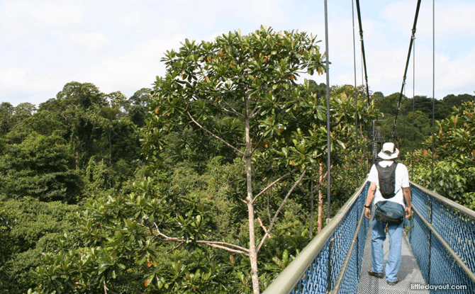 Spectacular Skywalks in Singapore - Little Day Out