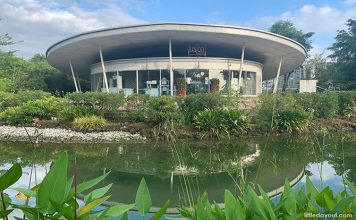 Amazing Guide To Jurong Lake Gardens: Nature, Play, Learn And Dine ...