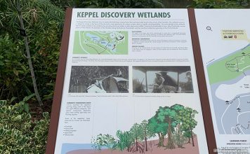 Keppel Discovery Wetlands: Forest Wetland Ecosystem At Singapore ...
