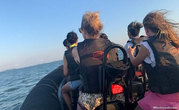 RHIB Rides Singapore: Zipping Out To Sea On Adventure - Little Day Out