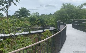 HPL Canopy Link: Connecting Learning Forest To Gallop Extension ...