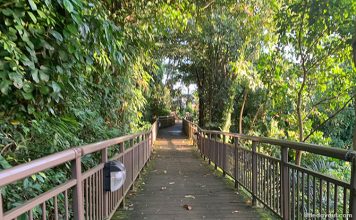 Marang Trail: Climbing Up The Stairs To Mount Faber - Little Day Out