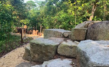 Rifle Range Nature Park: Quarry Wetland, Colugo Deck & 7 KM Of Trails ...