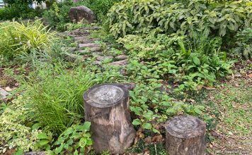 Arthur Park Nature Playgarden: Playgrounds, Sandpits And Logs - Little ...