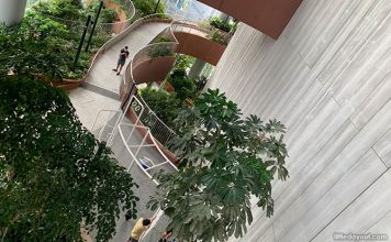 CapitaSpring Sky Garden & Green Oasis: That Top Of The World Feeling ...