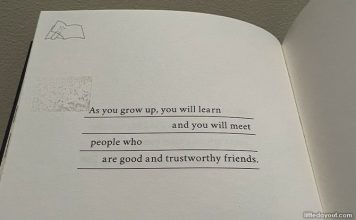 Book Review: Shine By Ng Zi Ning - Little Day Out