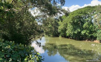 Sungei Api Api Park: By The River In Pasir Ris - Little Day Out