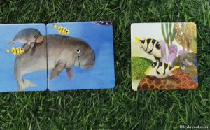 Reef Rescue Card Game Review: Save The Sea Creatures In The Ocean ...