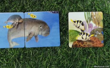 Reef Rescue Card Game Review: Save The Sea Creatures In The Ocean ...