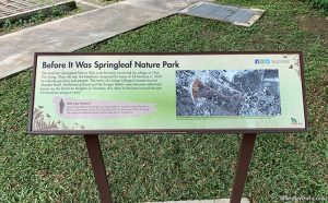 Springleaf Nature Park: 5 Things You May Not Know About This Sungei ...