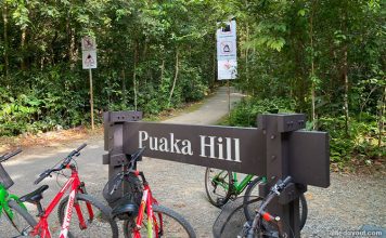 Pulau Ubin Guide: Adventure Hike Up Puaka Hill - Little Day Out