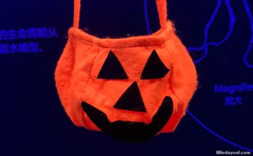 Deep Boo Sea 2022: Visit Undersea Neighbourhoods At S.E.A. Aquarium ...