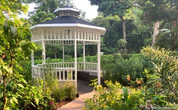 HortPark: 11 Gardens To See At The Horticulture Wonderland, Children's ...