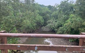 Admiralty Park & Playground: All-Terrain Fun, Awesome Slides, Nature ...