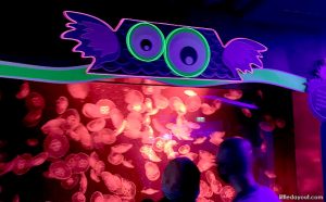 Deep Boo Sea 2022: Visit Undersea Neighbourhoods At S.E.A. Aquarium ...