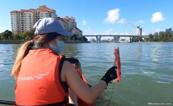 Trash-Picking By Kayak: A Meaningful Clean-Up Experience - Little Day Out