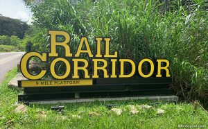 Rail Corridor North: From Kranji To Hillview & 9 Mile Platform - Little ...
