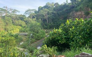 Rifle Range Nature Park: Quarry Wetland, Colugo Deck & 7 KM Of Trails ...