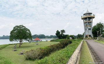 Upper Seletar Reservoir Park: Have A Blast At The Rocket Tower - Little ...