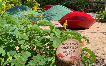 COMO Adventure Grove: Weeping Fig, Saga Seeds & Giant Cempedak At ...