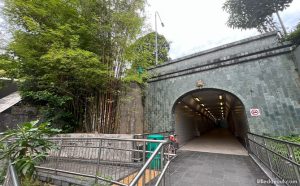Fort Canning Tree Tunnel: How To Find This Popular Photo Spot - Little ...
