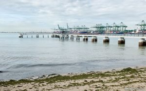Labrador Nature Park: One Park, Two Worlds & Keppel Coastal Trail ...