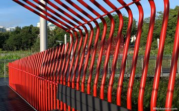 Amazing Guide To Jurong Lake Gardens: Nature, Play, Learn And Dine ...
