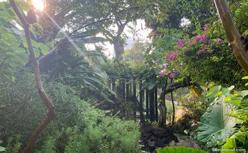 HortPark: A Garden Wonderland - Little Day Out