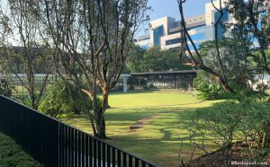 HortPark: 11 Gardens To See At The Horticulture Wonderland, Children's ...