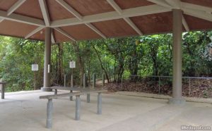Mandai T15 Trail: Bukit Panjang To Mandai Along The Gangsa Trail ...