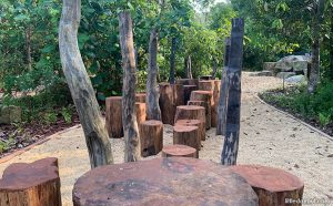 Rifle Range Nature Park: Quarry Wetland, Colugo Deck & 7 KM Of Trails ...