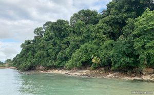 Labrador Nature Park: One Park, Two Worlds & Keppel Coastal Trail ...