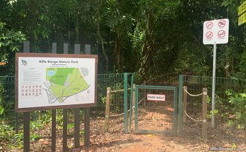 Rifle Range Nature Park: Quarry Wetland, Colugo Lookout & 7KM Of Trails ...
