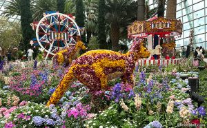 Carnival Of Flowers: Australia-Themed Floral Display At Gardens By The ...