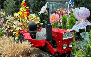 Carnival Of Flowers: Australia-Themed Floral Display At Gardens By The ...