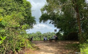 Pulau Ubin Guide: Adventure Hike Up Puaka Hill - Little Day Out