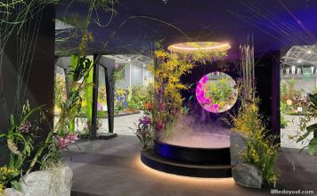 14th Asia Pacific Orchid Conference 2023: Be Enchanted By Flowers ...