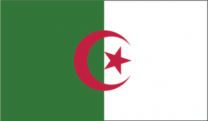Free Algeria Flag Colouring Page - Little Day Out
