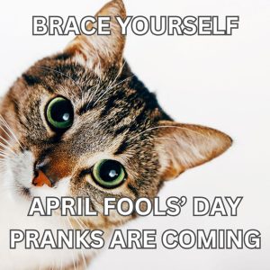 30 April Fools' Memes: Perfect For Pranksters & April 1 Jesters ...