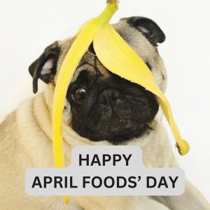 30 April Fools' Memes: Perfect For Pranksters & April 1 Jesters ...